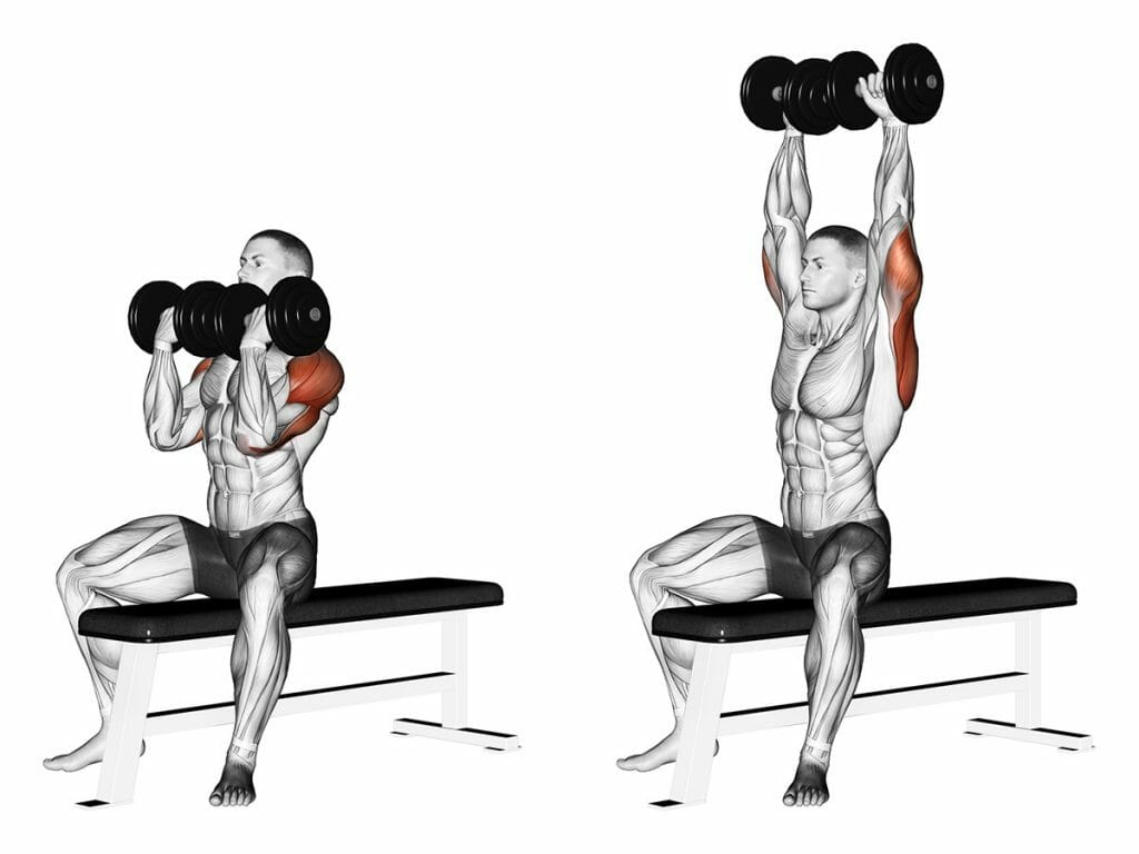 Definição muscular - 7 Dicas que FUNCIONAM! - Treino Mestre