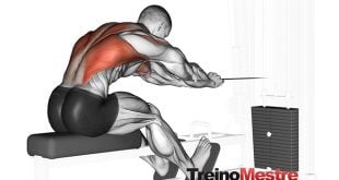 Pullover: Execução correta, músculos e dicas para ter resultados