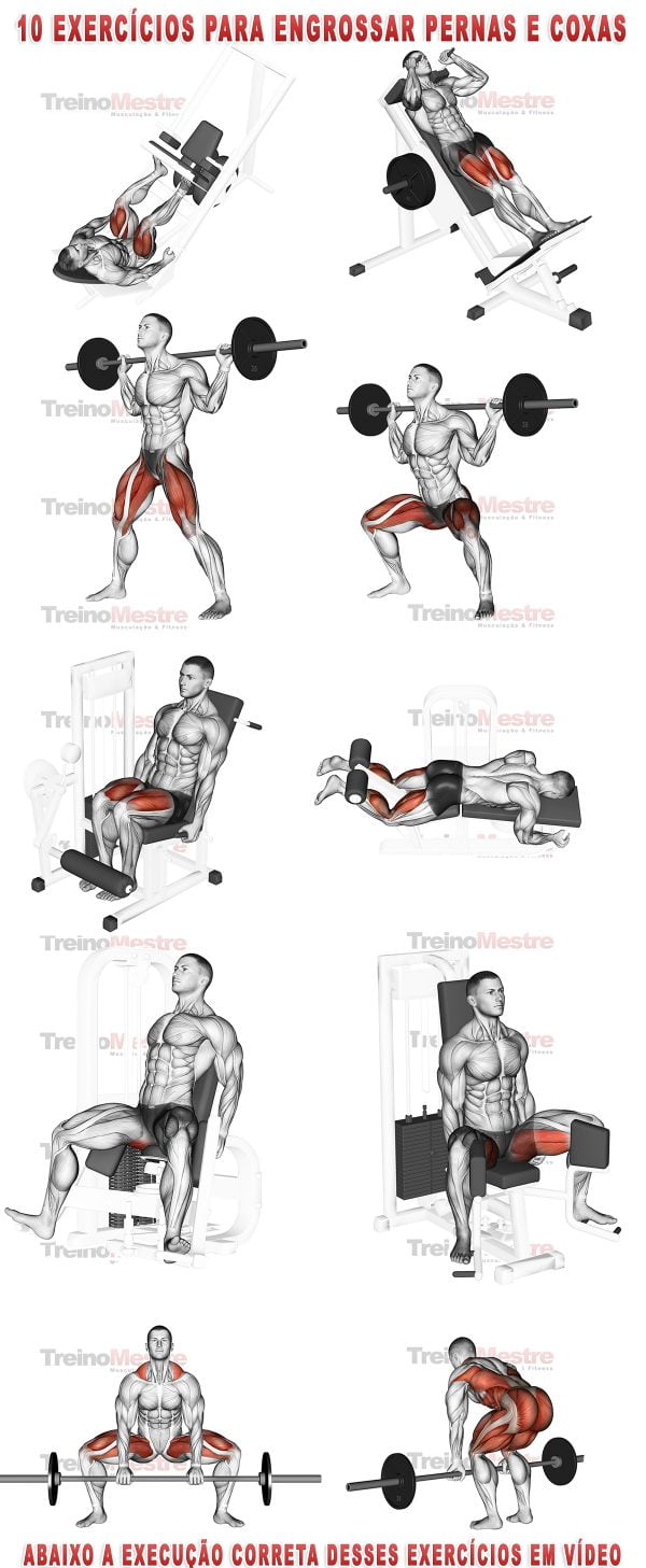 Treino de pernas para iniciantes: 7 Melhores exercícios com ficha