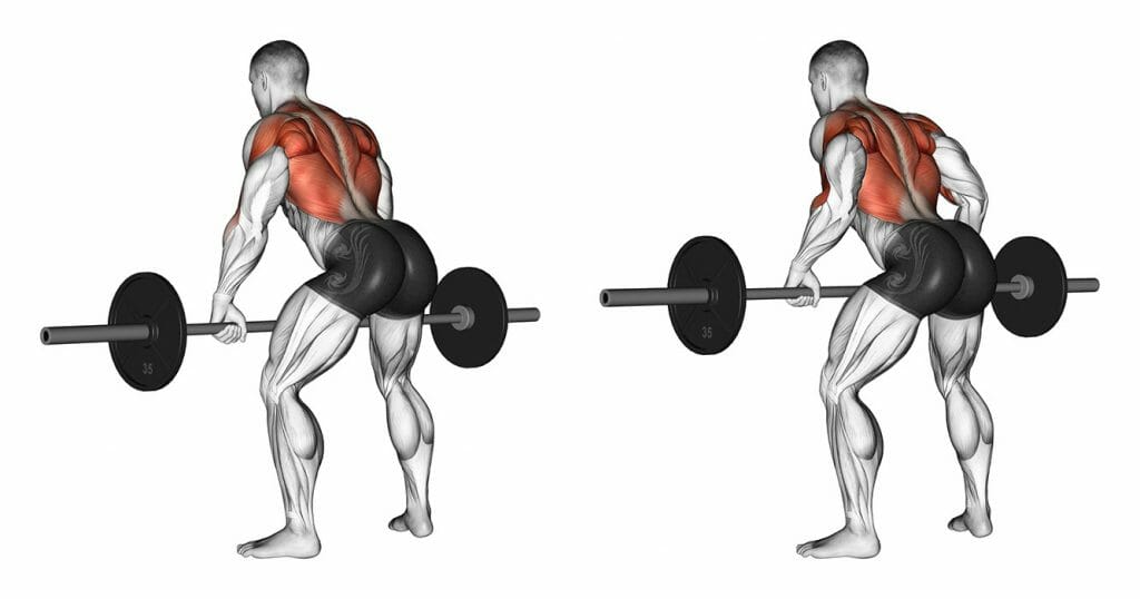 Pulley Frente: Como fazer, músculos, variações e dicas