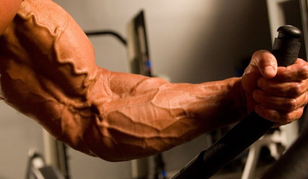 Pump muscular: O que é? É realmente importante para hipertrofia?