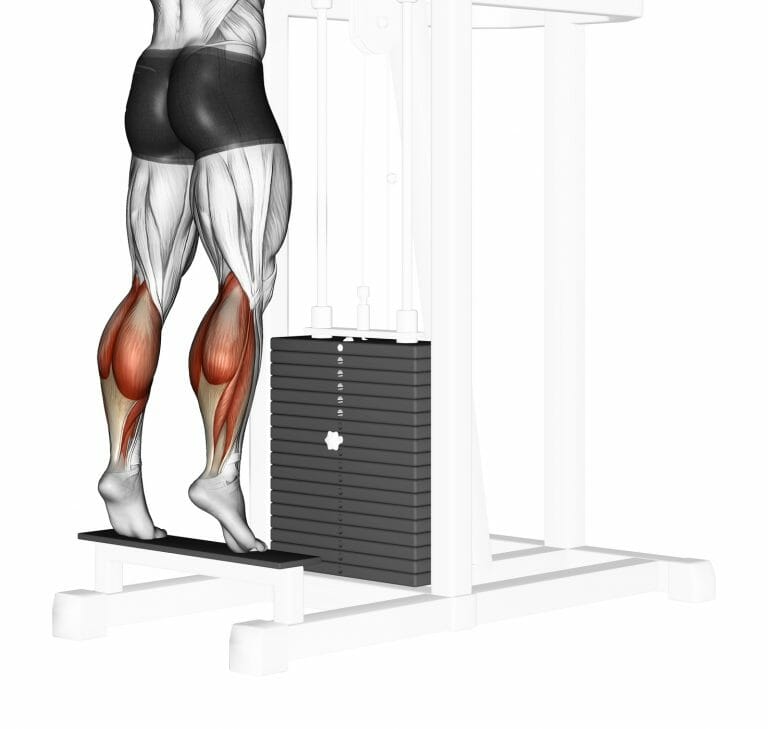 10 Melhores exercícios unilaterais para o treino de pernas e glúteos 10 Melhores exercícios unilaterais para o treino de pernas e glúteos