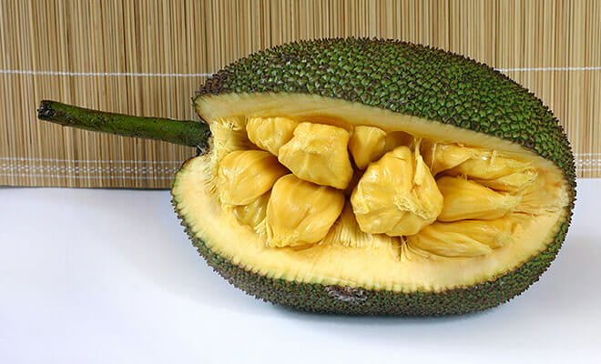 Jaca - Seus benefícios, propriedades e como consumir - Treino Mestre