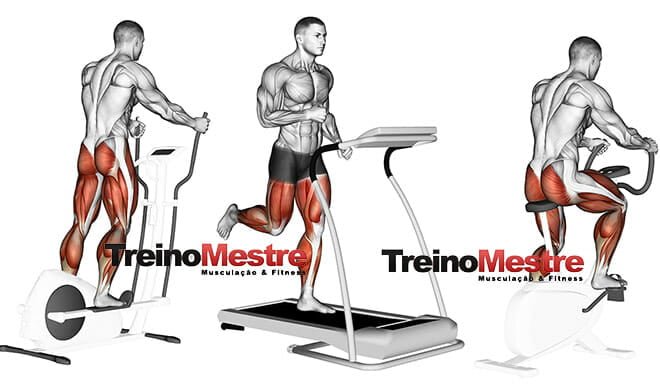 A influência do treinamento aeróbico para hipertrofia - Treino Mestre