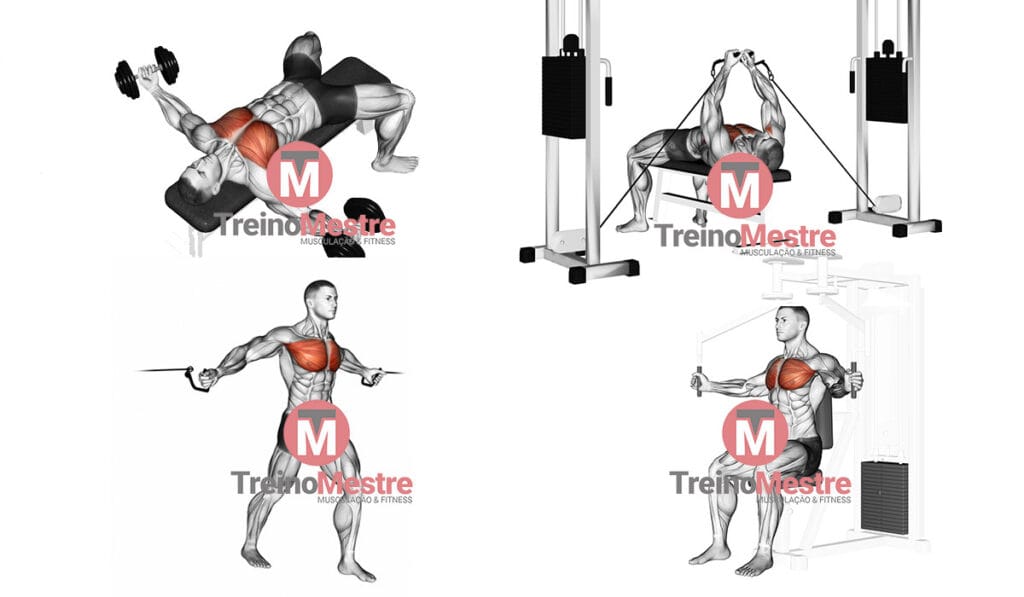 Super Treino de Peito com os melhores exercícios - Treino Mestre