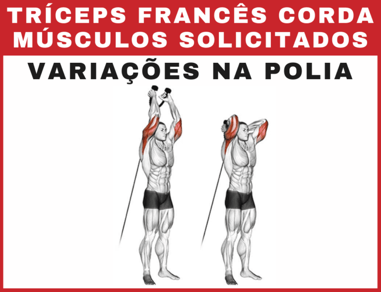Tríceps francês: Execução, variações e dicas para mais resultados