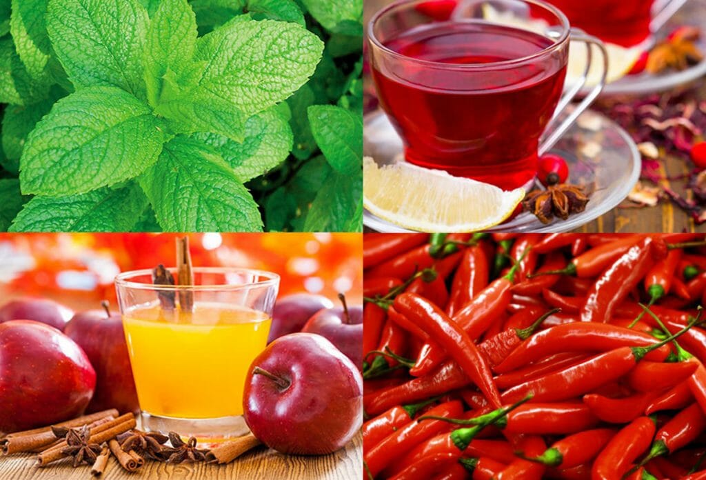 Termogênico emagrece? Para que serve? Veja como tomar