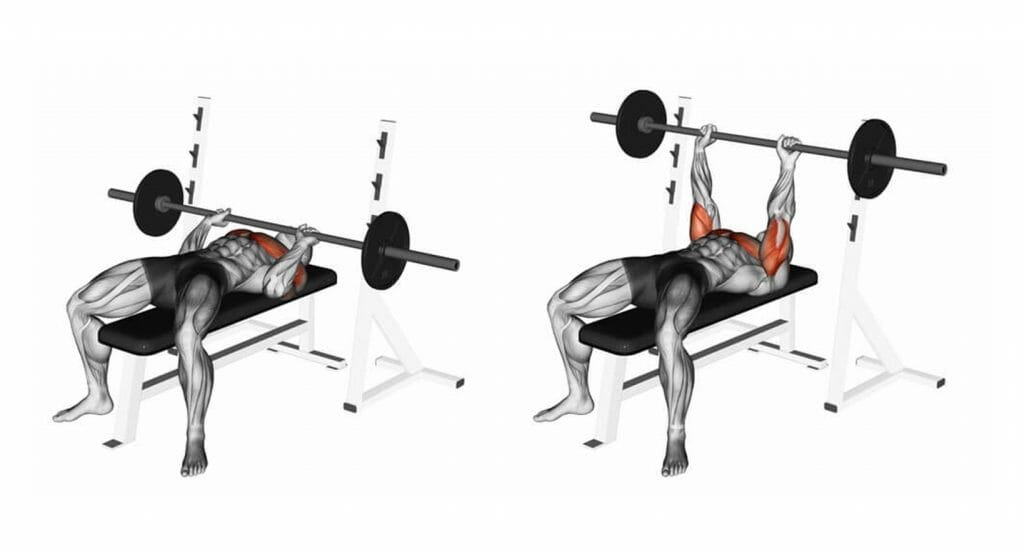 Supino Reto: Como fazer, principais erros e dicas para mais resultados!