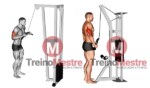Tríceps pulley (corda ou polia): 8 Variações para potencializar!