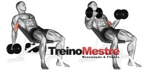 Rosca alternada: Como fazer, músculos e dicas para mais resultados!