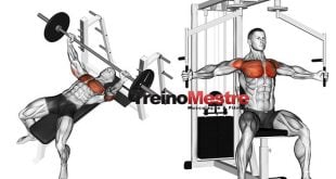 Exercício Pullover, no treino de costas ou peito? Veja a execução ...