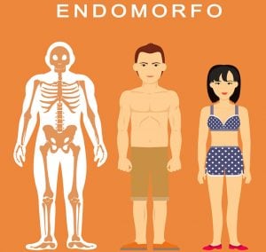 Ectomorfo, Endomorfo e Mesomorfo - Conheça seu tipo físico e dicas de ...