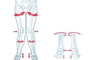 Joelho em valgo, o que é, causas e como treinar