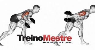 Tríceps francês - Execução correta, variações e dicas para deixá-lo ...