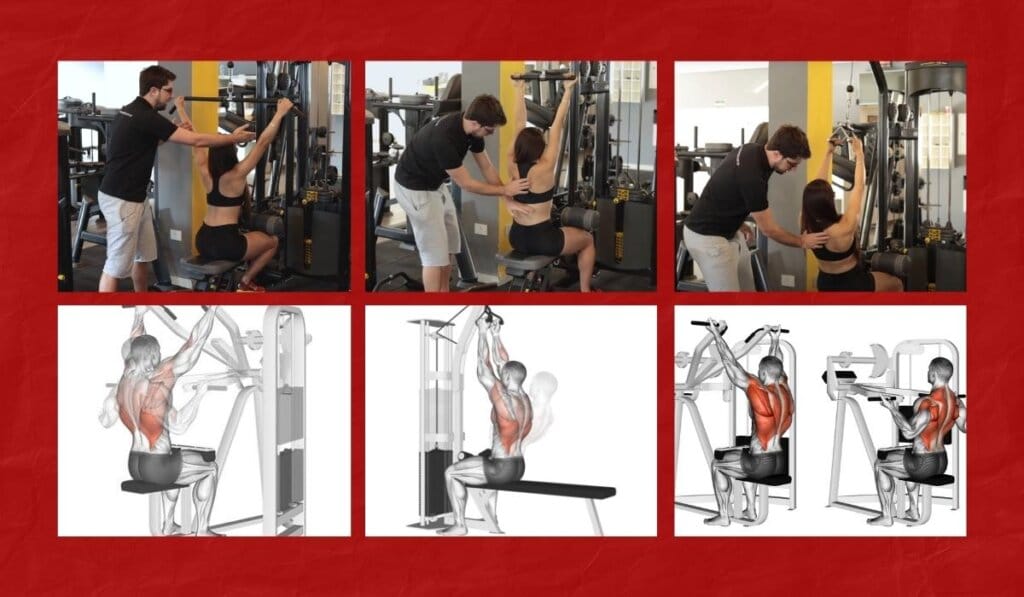 Treino de Costas completo para Hipertrofia - Treino Mestre