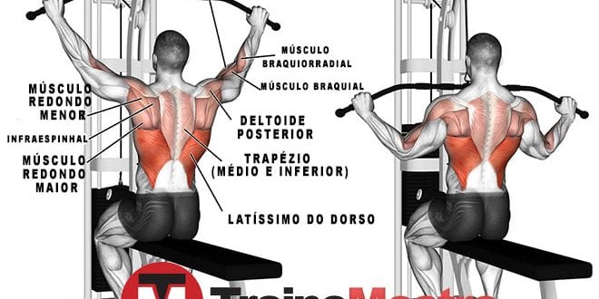 Treino de Costas - Treino Mestre