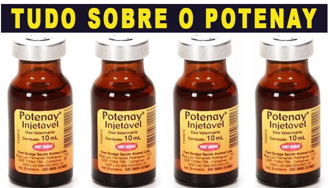 Potenay: Para que serve, indicações e colaterais (CUIDADO)