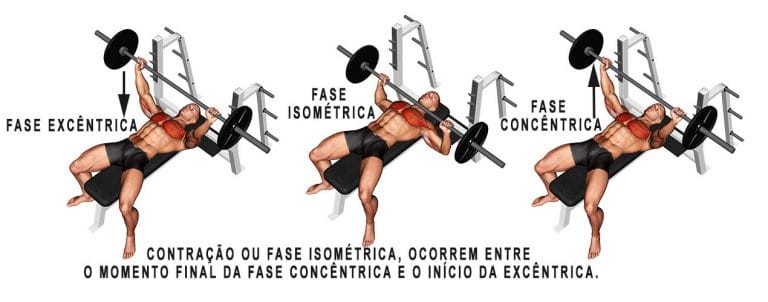 Fase excêntrica e Fase Concêntrica: diferenças, aplicações e técnicas ...