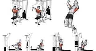 Pullover: Execução correta, músculos e dicas para ter resultados