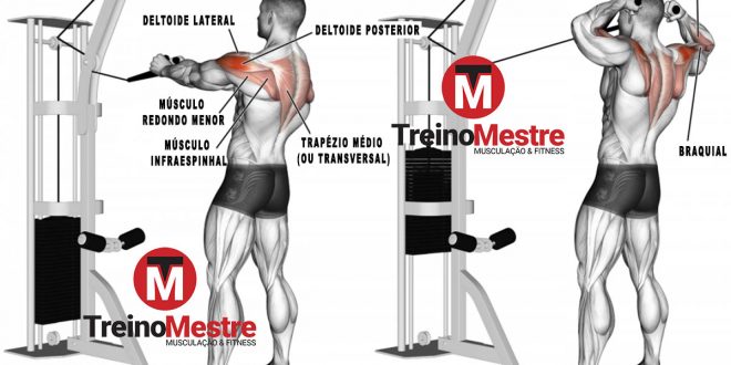 Quadríceps, os 6 melhores exercícios para seu treino - Treino Mestre