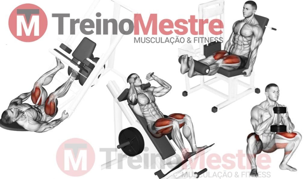 Treino de Pernas Completo para Hipertrofia - Treino Mestre