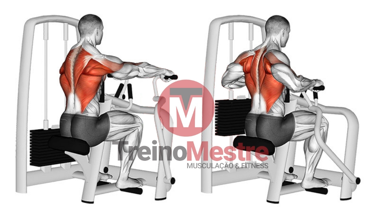 Remada Articulada Como Fazer Varia es De Pegadas E A o Muscular Remada Articulada Como Fazer Varia es De Pegadas E A o Muscular