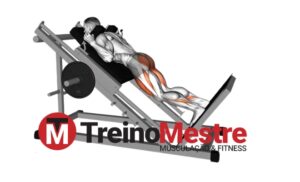 Agachamento Hack Machine: como fazer, cuidados e qual substitui