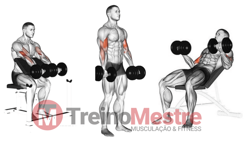 Rosca Simultânea com halteres: Como fazer, músculos e Dicas