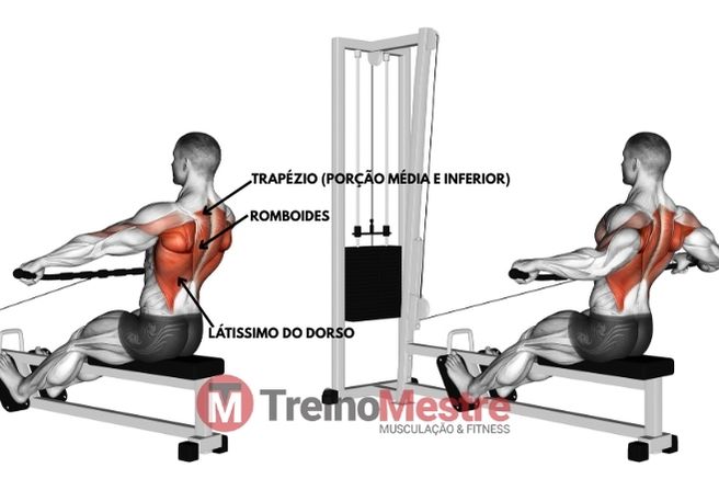 Remada Baixa Pronada: O que é, como fazer e Músculos